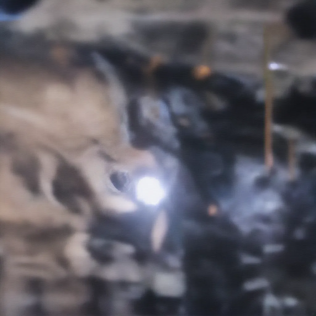 Exploring Slingshot Radio: A New Era in Broadcasting